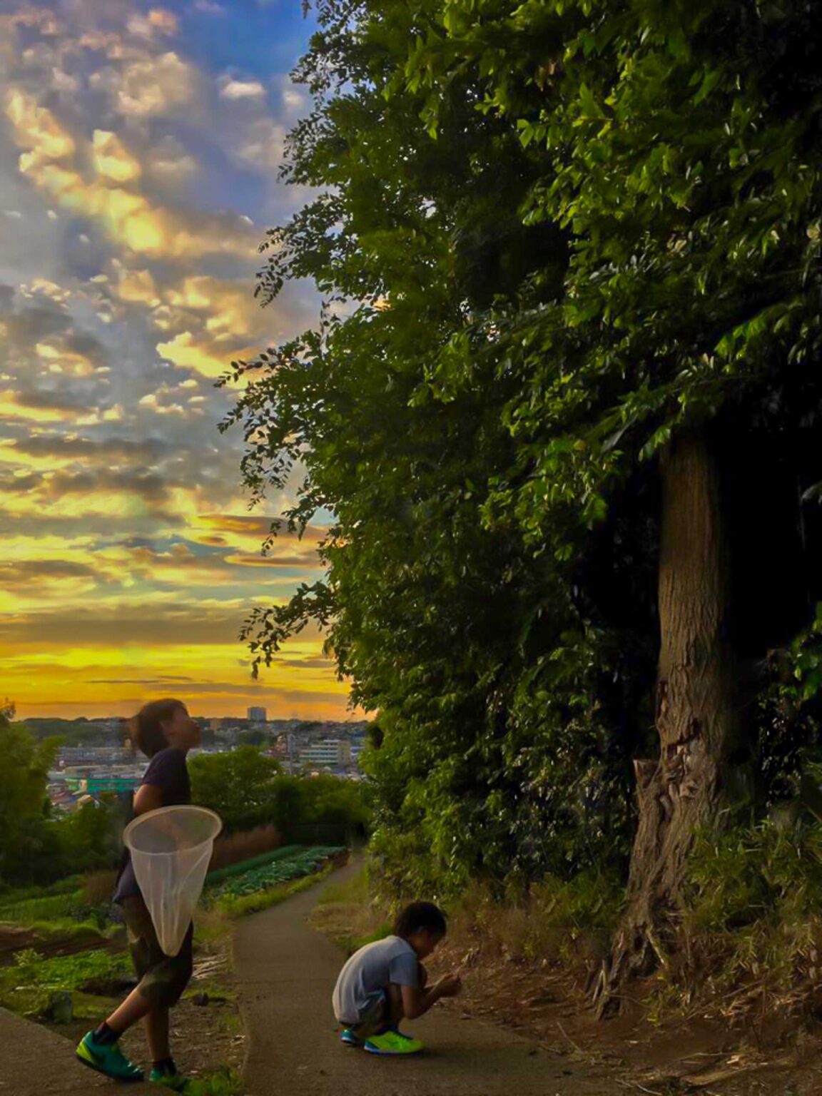 5人家族で暮らす2LDKシームレスな空間に居場所を自由に確保する | ToKoSie ー トコシエ